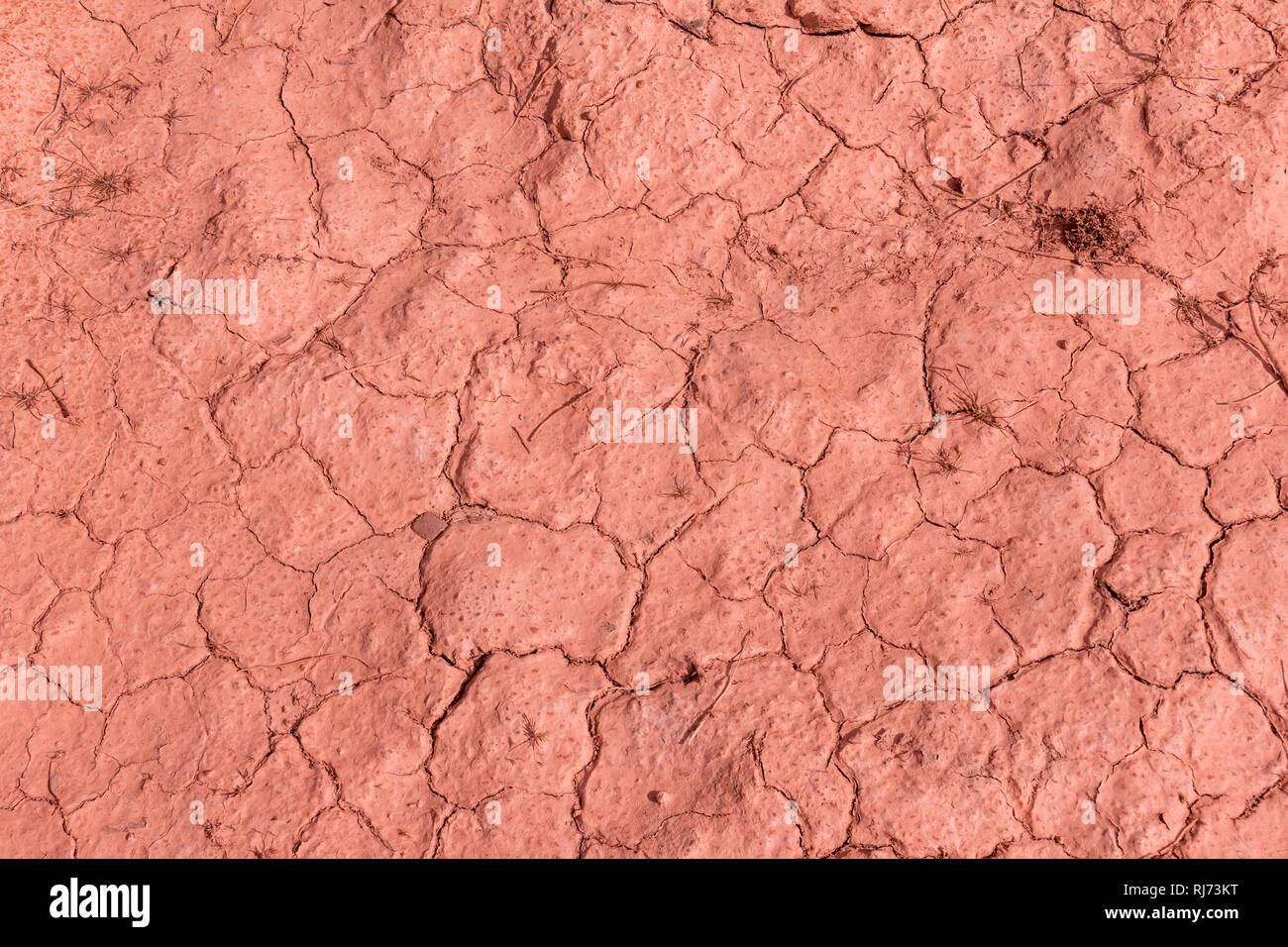Top down view of clay soil cracked during dry drought season in the ...