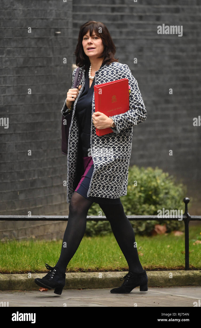 Minister for Energy and Clean Growth Claire Perry arrives in Downing ...