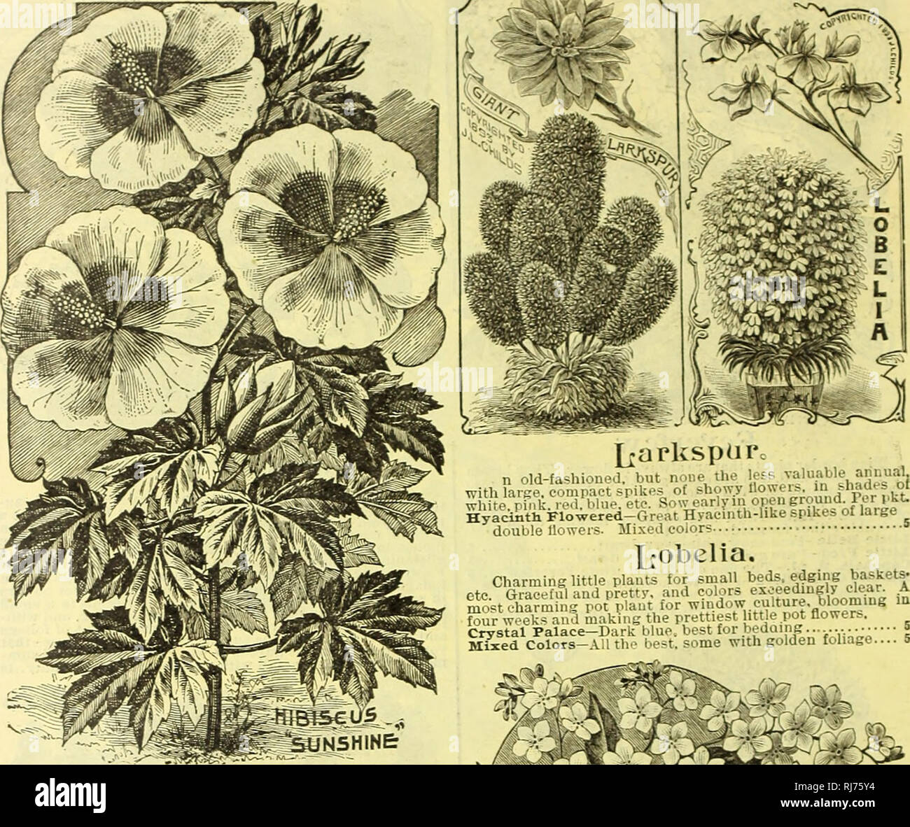 John pretti hi-res stock photography and images - Alamy