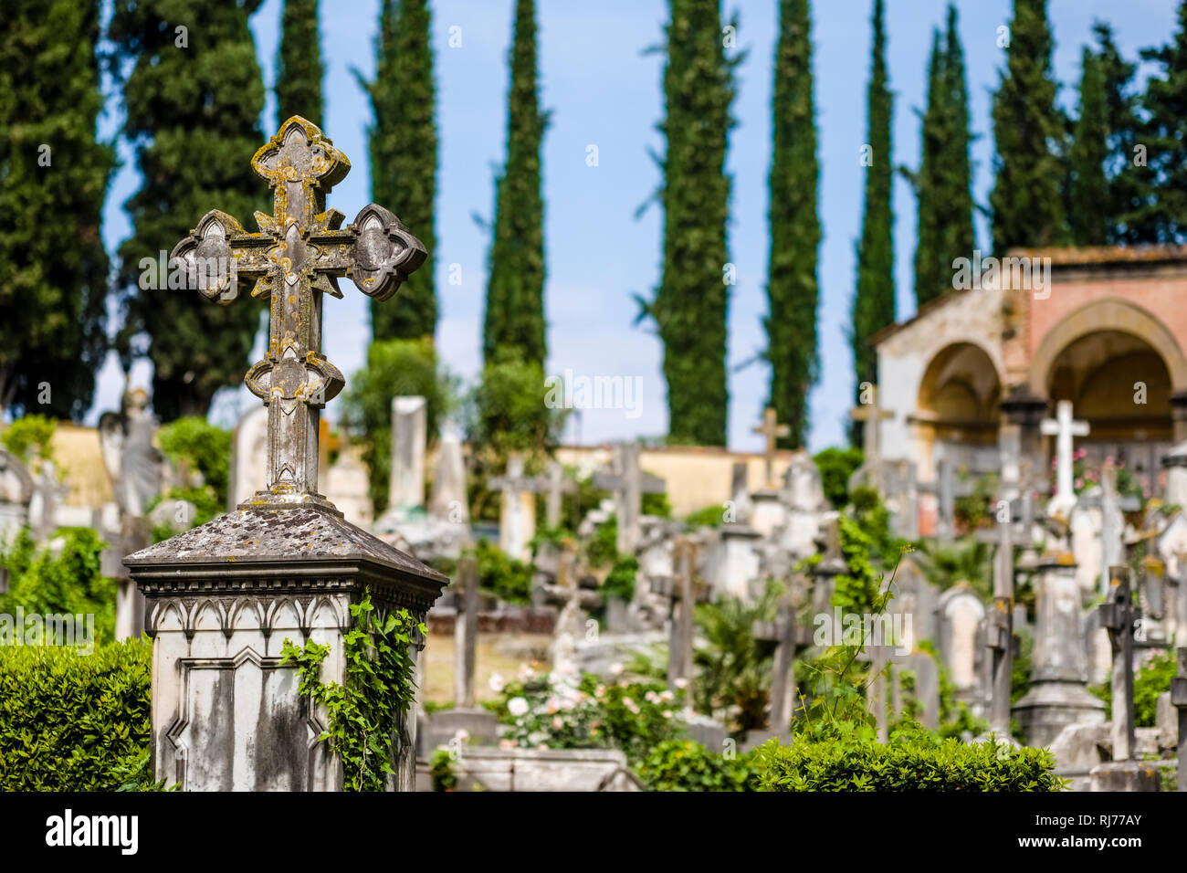 Tombs and Graveyards at Cimitero Evangelico agli Allori Stock Photo - Alamy