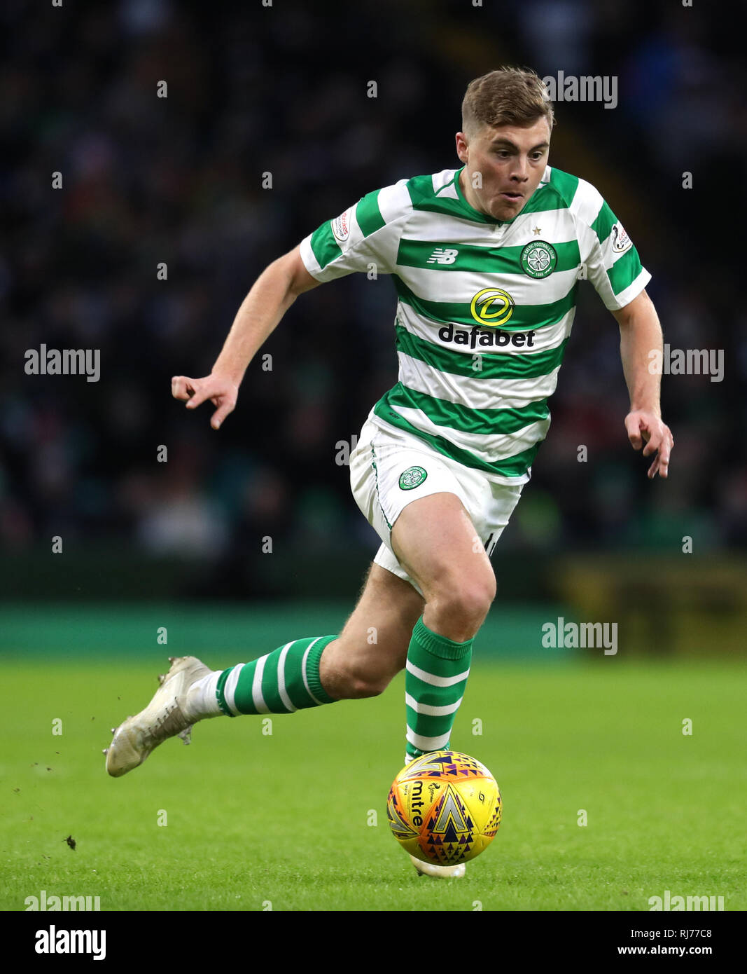 James Forest, Celtic Stock Photo - Alamy