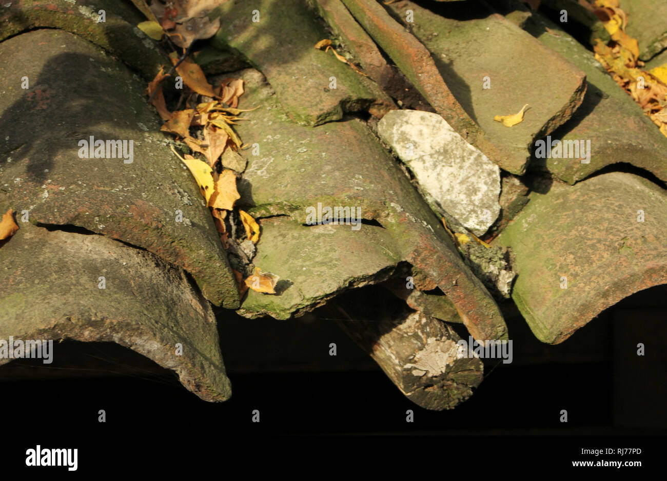 Multi layered roof hi-res stock photography and images - Alamy