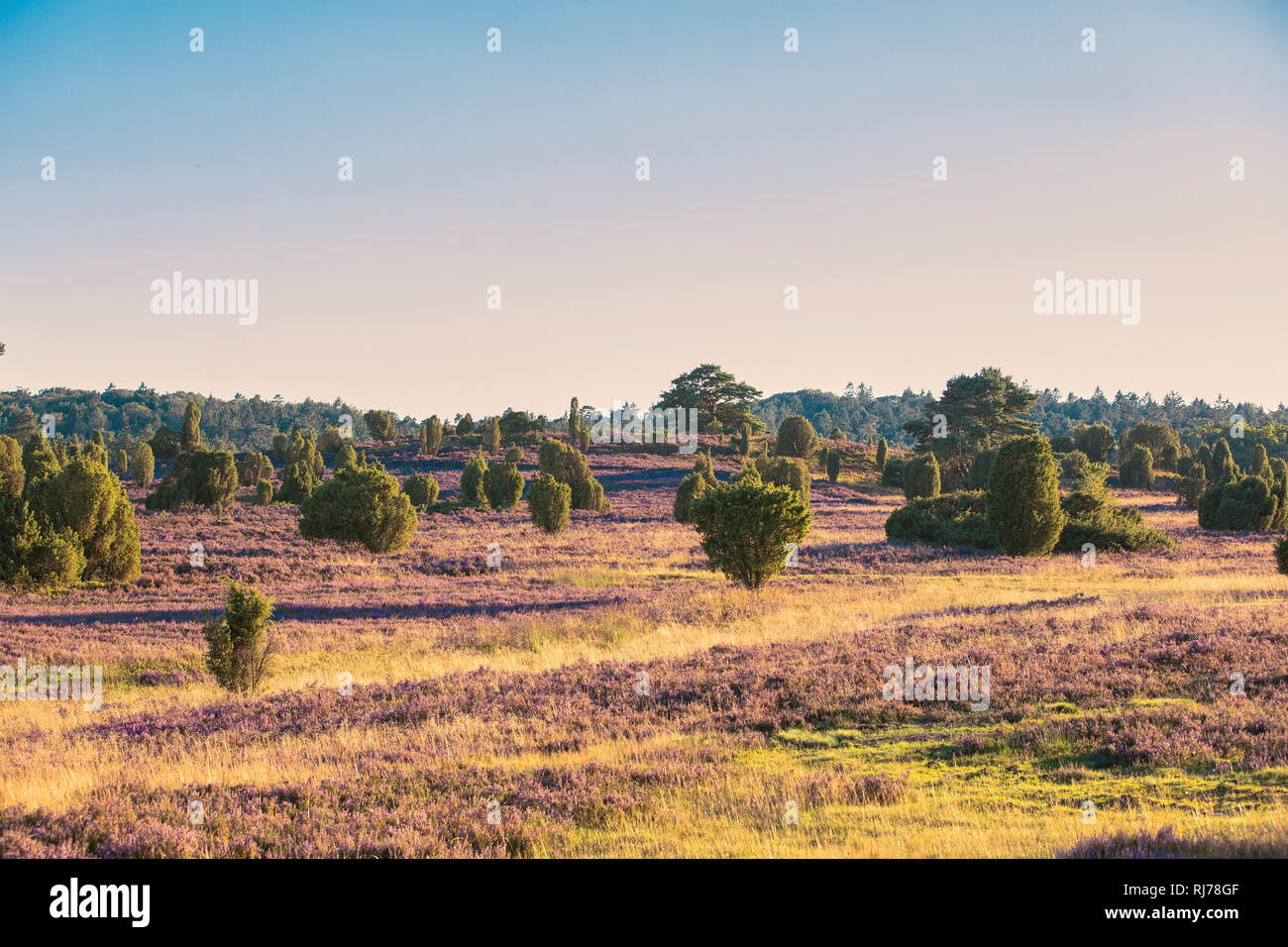 Die stimmung hi-res stock photography and images - Alamy