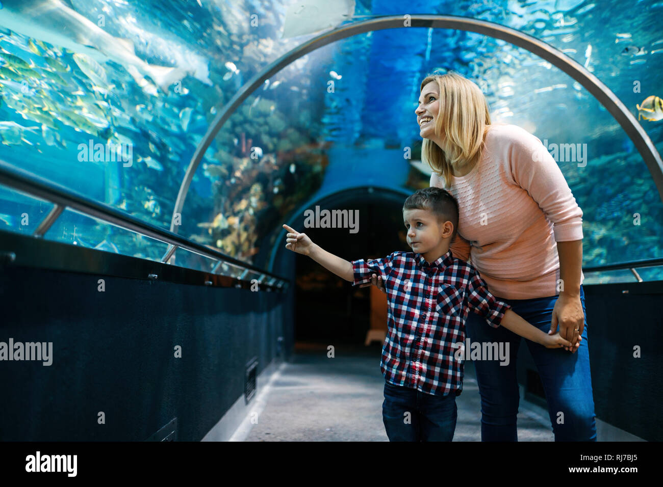 Family swimming with fish hi-res stock photography and images - Alamy