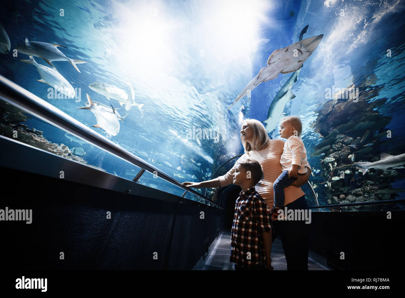 Happy family swimming underwater mother hi-res stock photography and ...