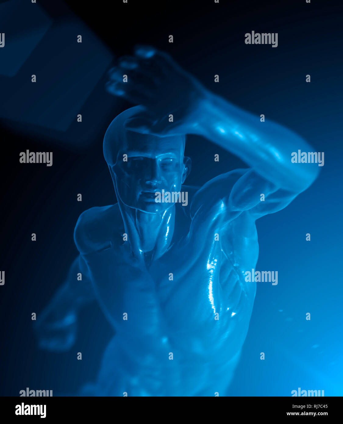 Menschliche Darstellung, Symbol Gesundheit, Abwehr, 3d Stock Photo - Alamy