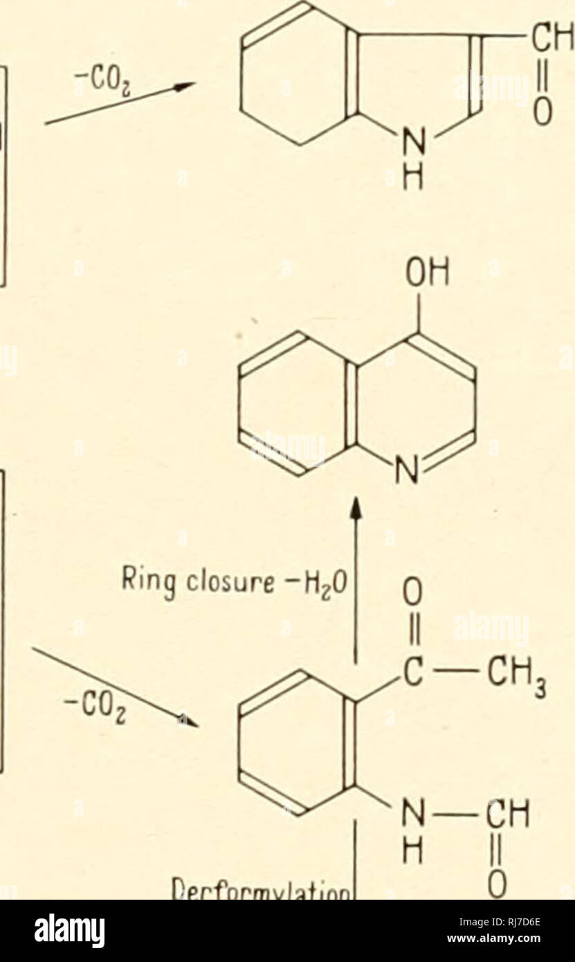 Ch ch3 3 hi-res stock photography and images - Alamy