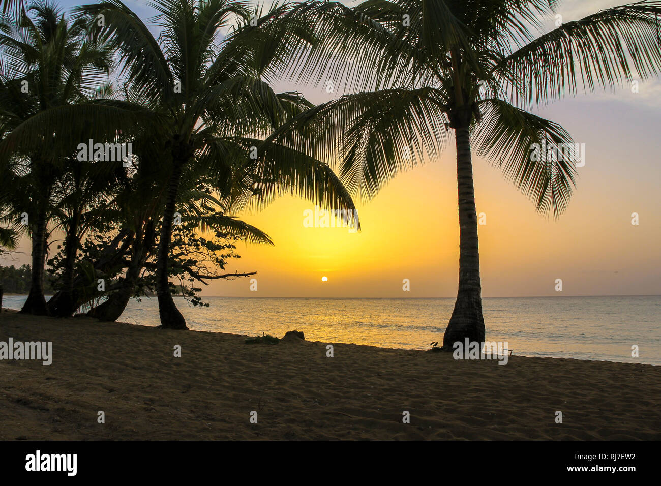 Am strand von las terrenas hi-res stock photography and images - Alamy