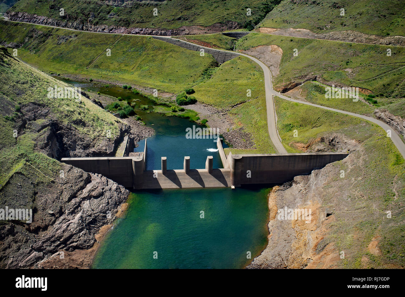 Katse hi-res stock photography and images - Alamy