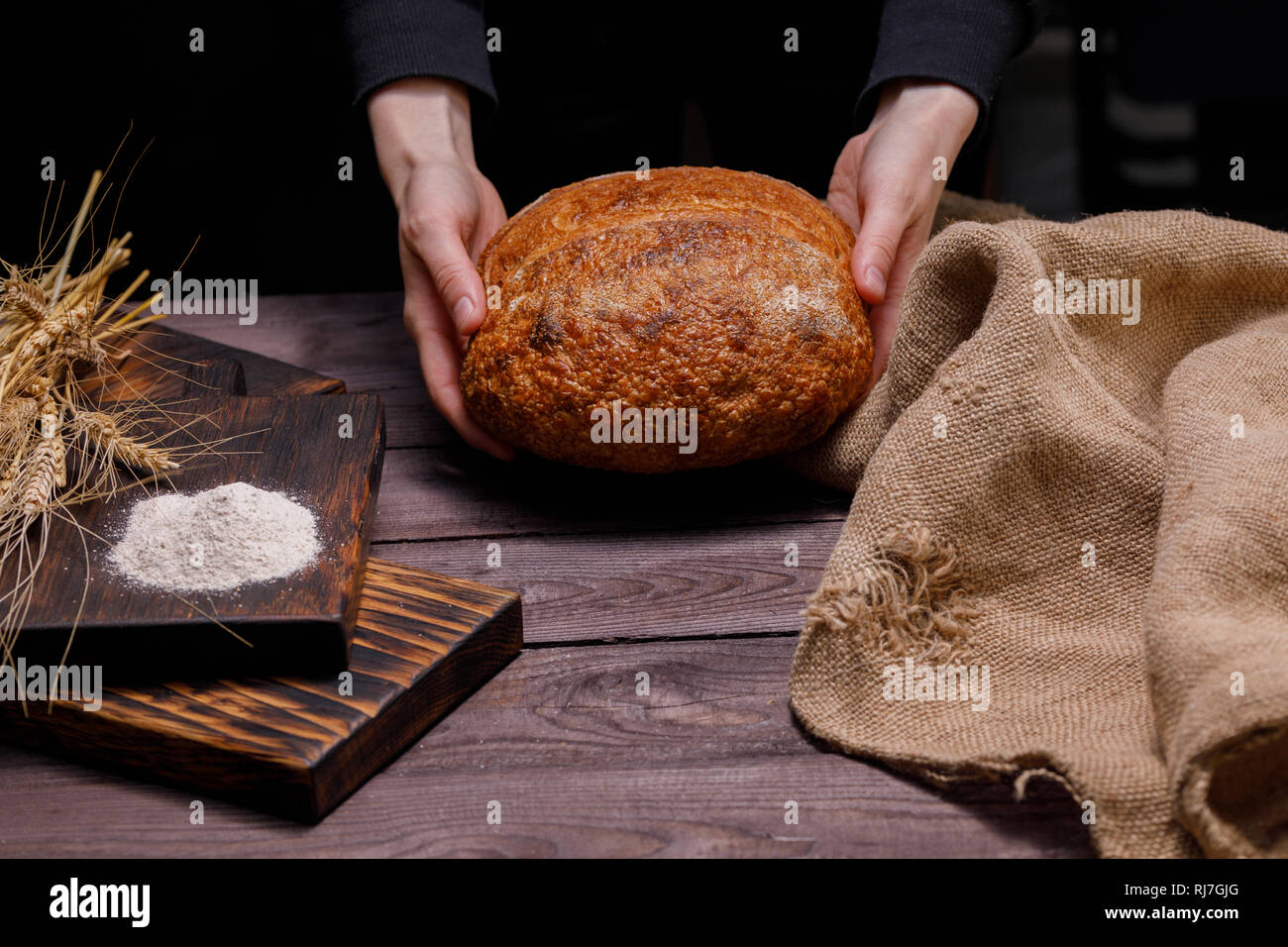 Oat of arms hi-res stock photography and images - Alamy