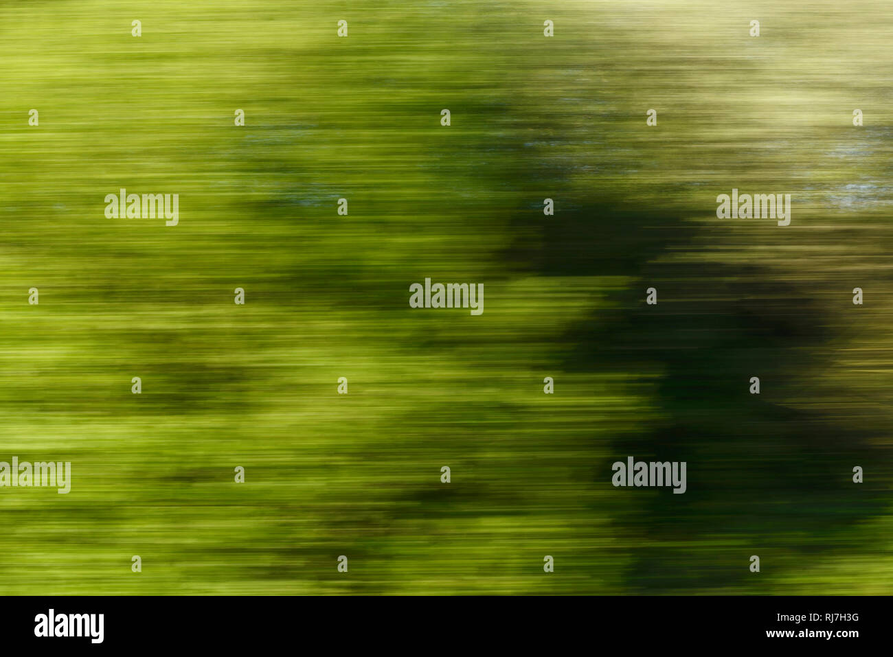 The view from a moving train window Stock Photo - Alamy