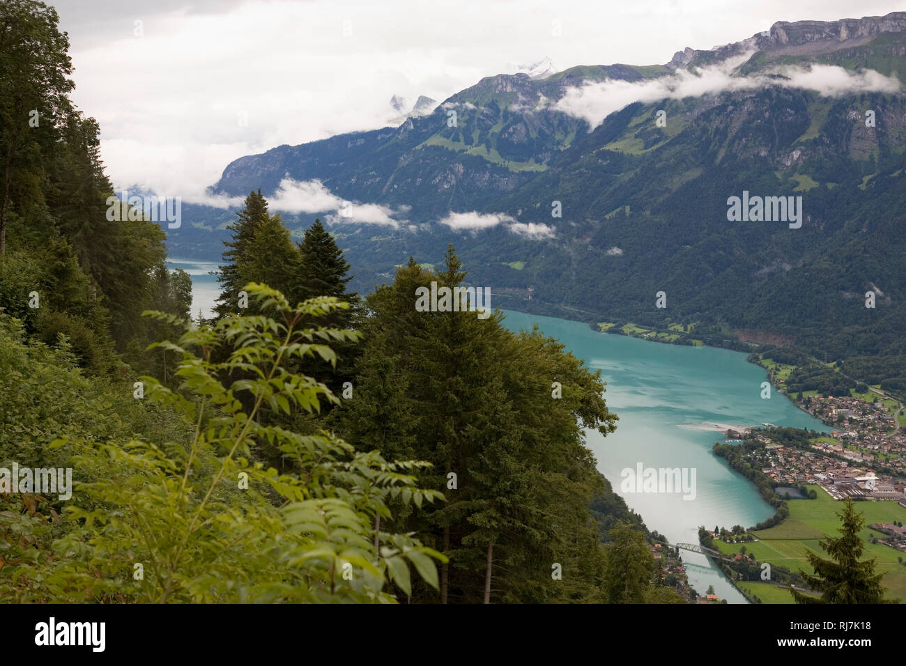 Lake Brienz (Brienzersee) from Harder Kulm above Interlaken, Kanton ...