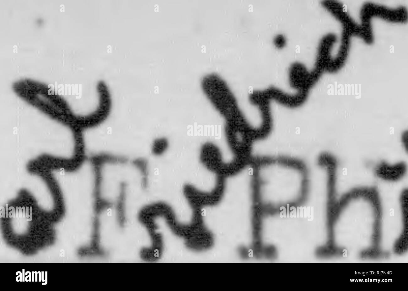 Pia hart hi-res stock photography and images - Alamy