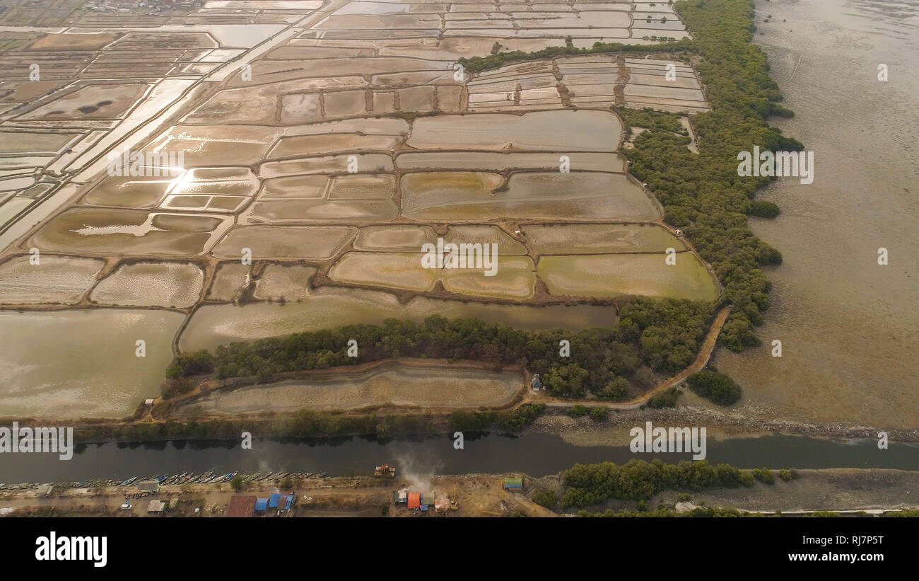 Shrimp hatchery hi-res stock photography and images - Alamy