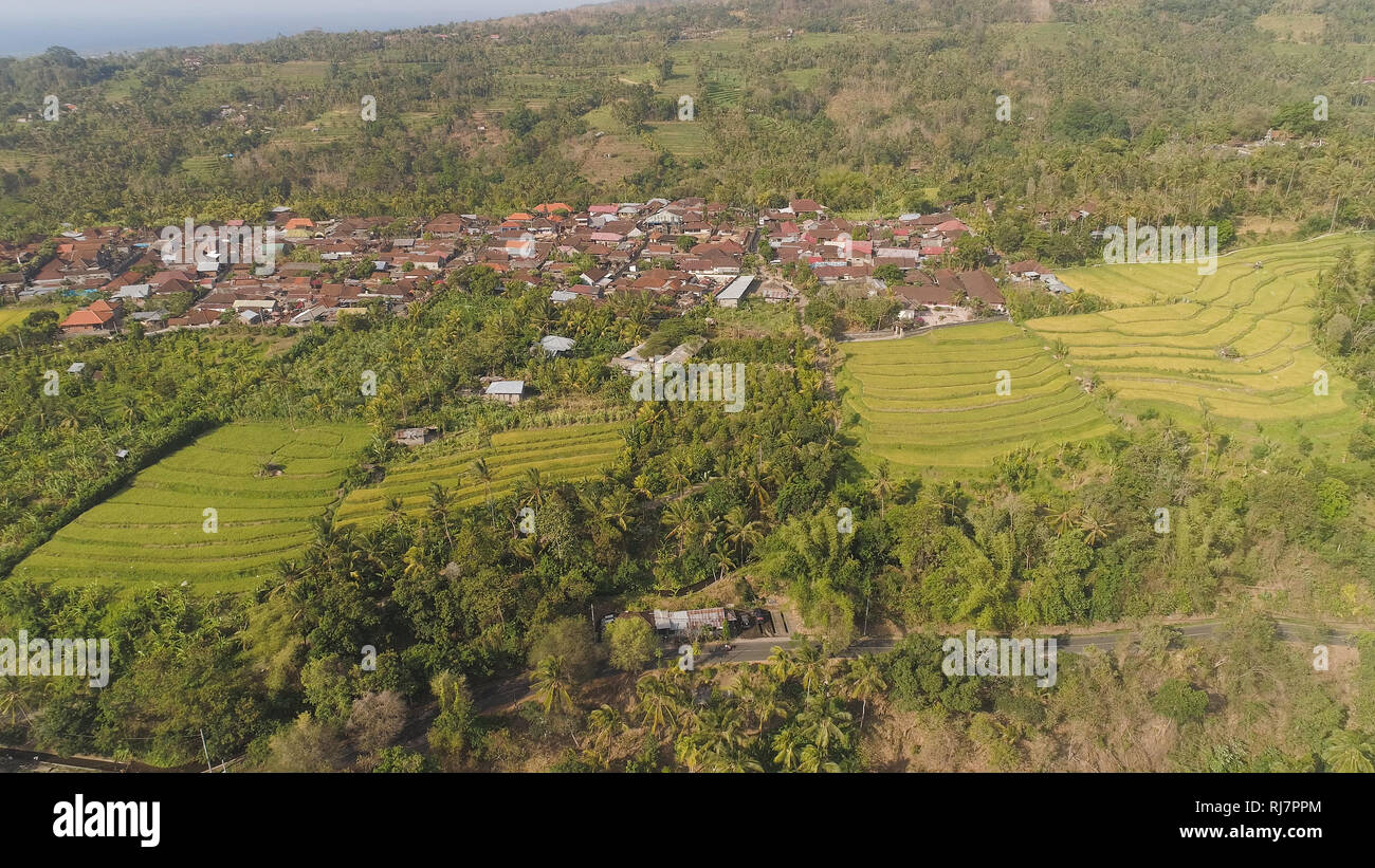 village among rice fields and terraces in Asia. aerial view farmland ...