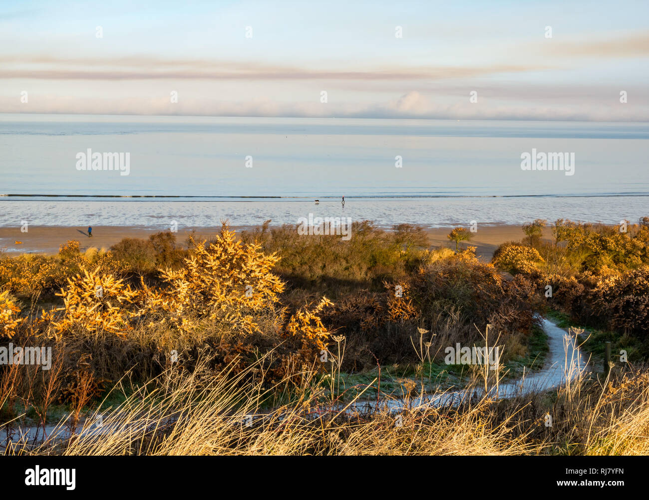 Gullane beach hi-res stock photography and images - Alamy