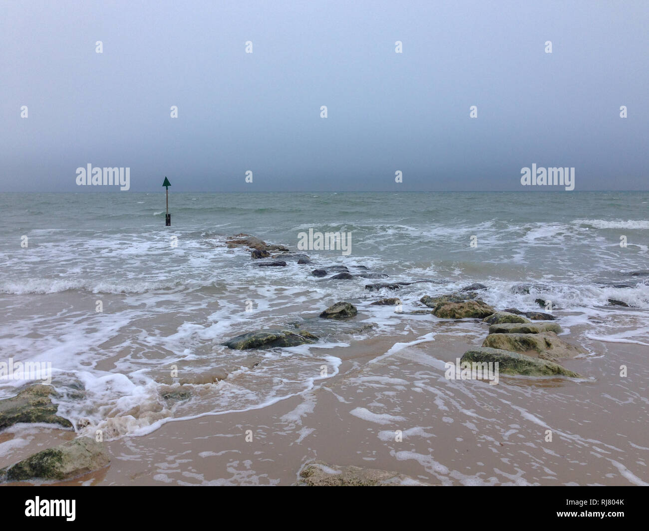 Dogs pkaying hi-res stock photography and images - Alamy