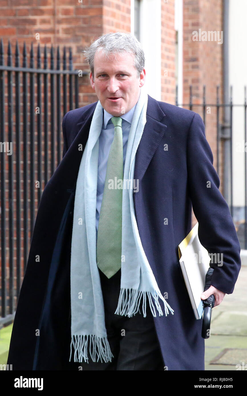 Downing Street London Uk 5 Feb 2019 Damian Hinds Secretary Of
