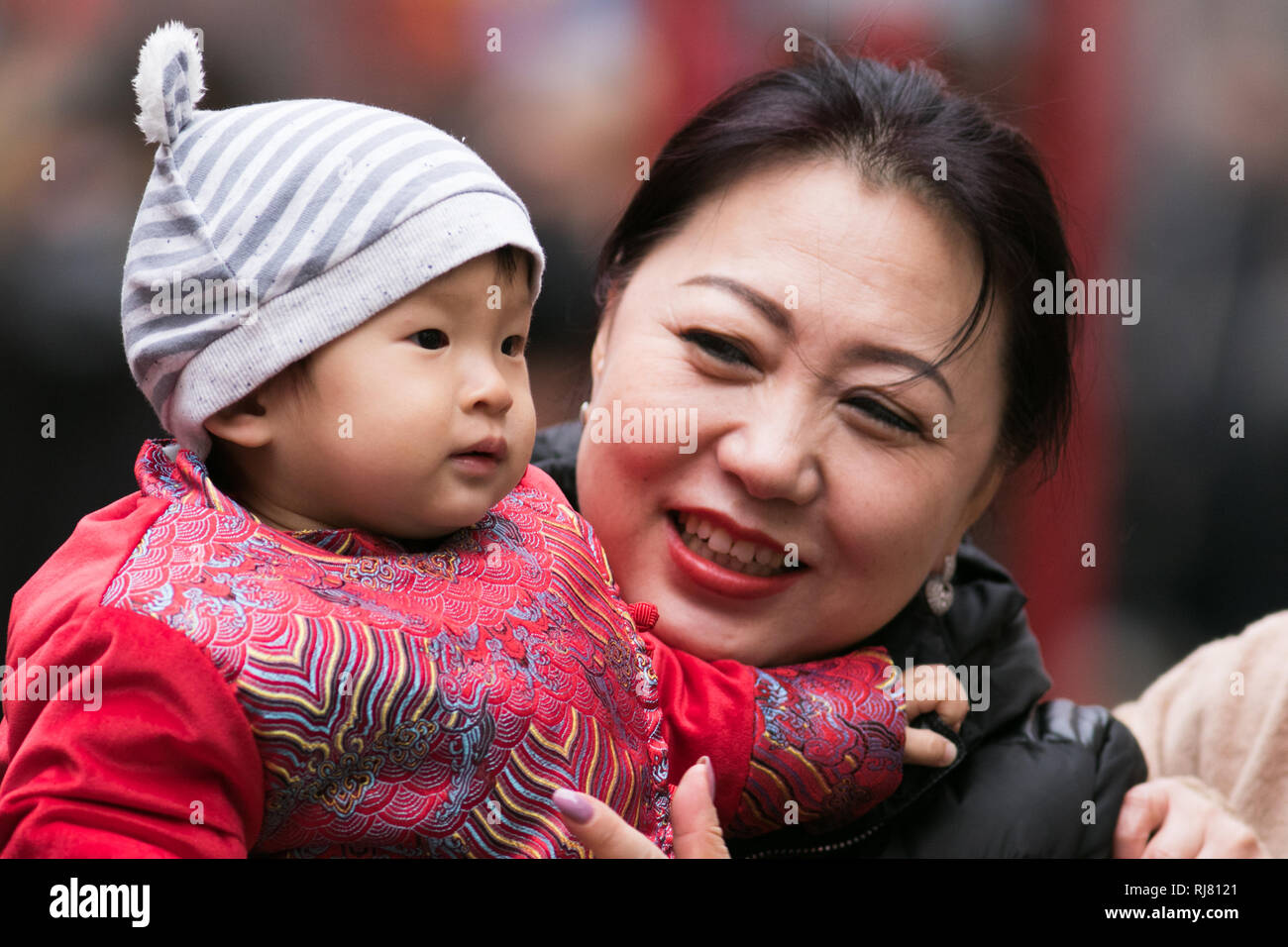 2019 earth pig hi-res stock photography and images - Alamy