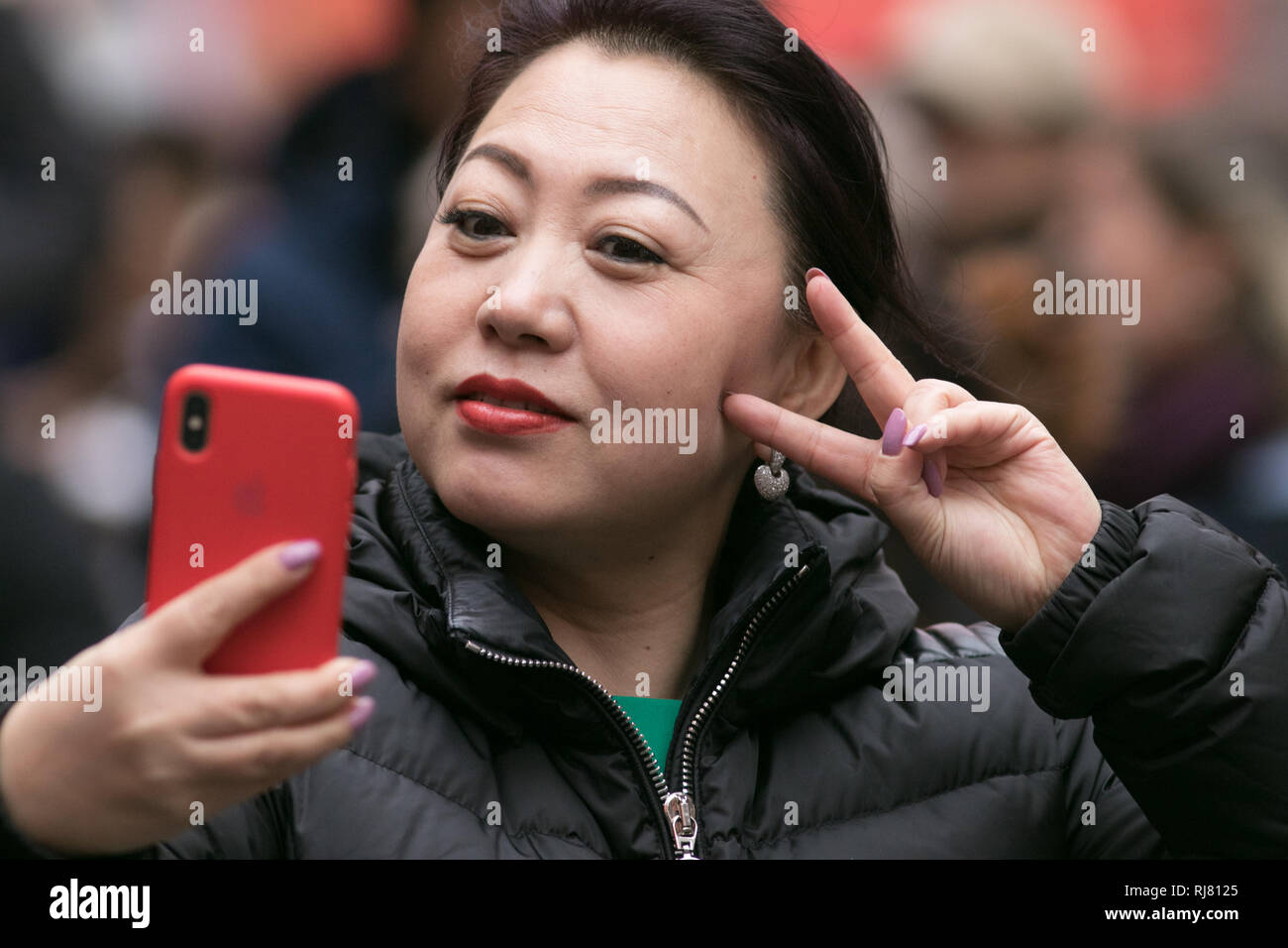 2019 earth pig hi-res stock photography and images - Alamy