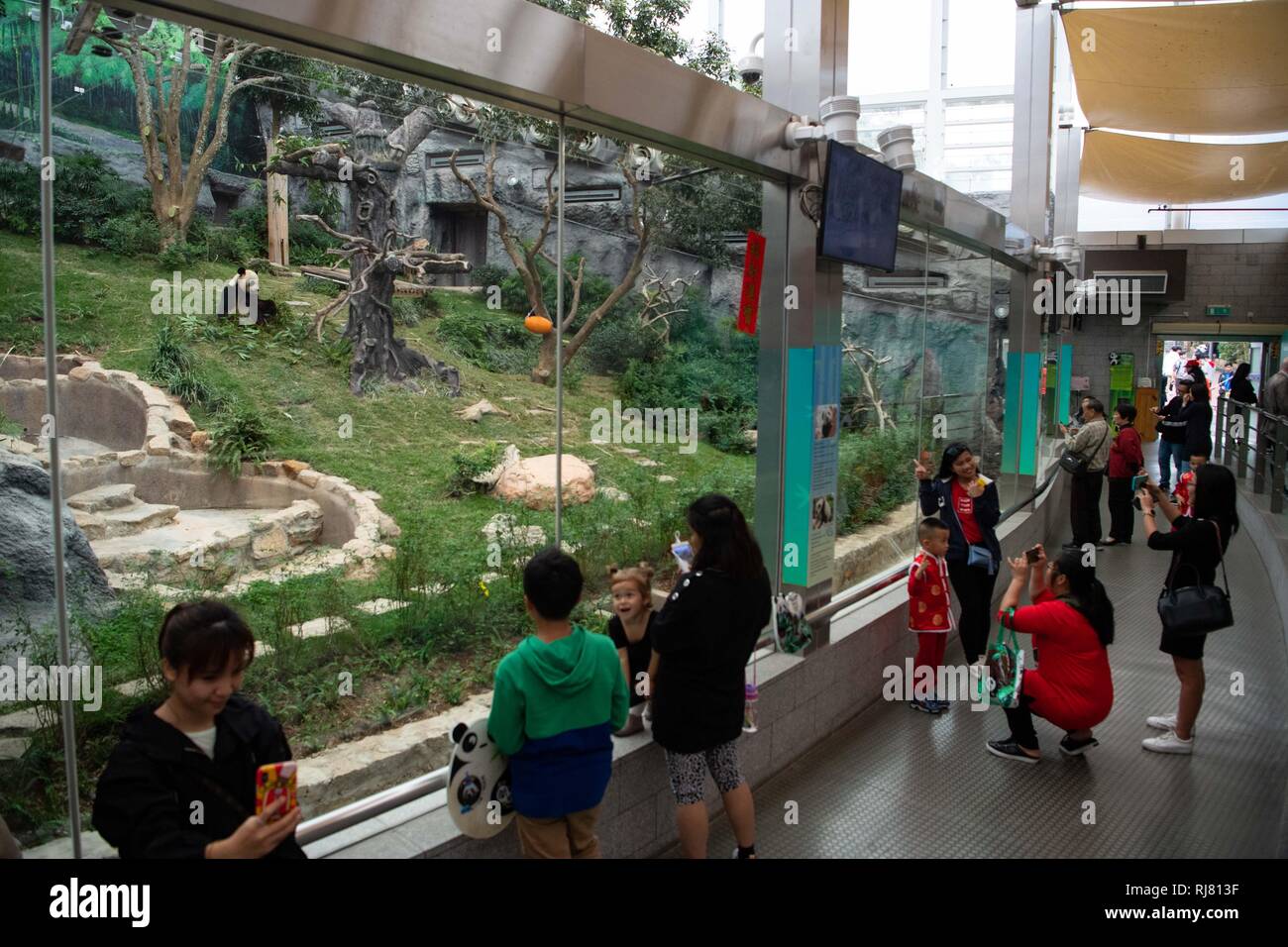 Macao. 5th Feb, 2019. Tourists visit the Macao Giant Panda Pavilion in ...