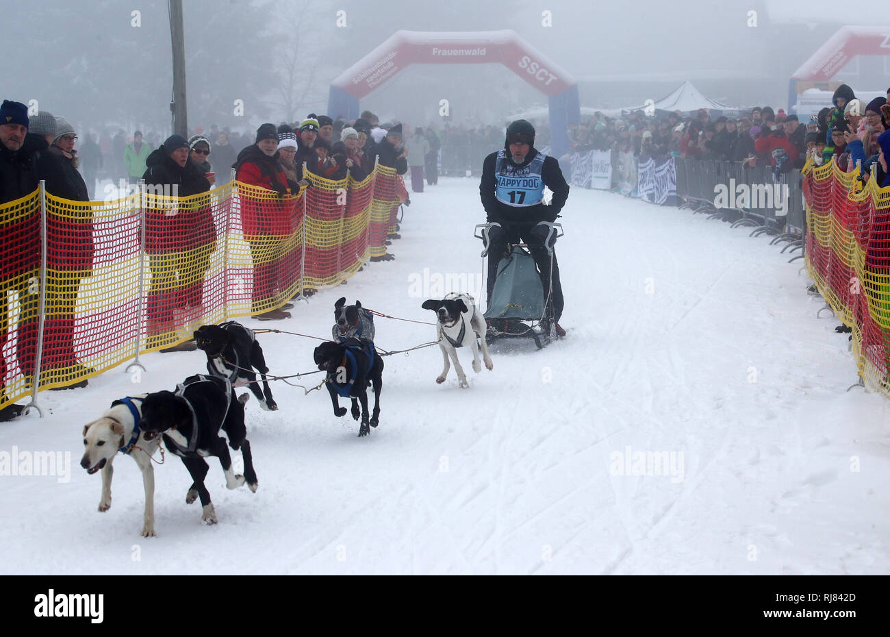 2nd February 2019, Thuringia, Frauenwald, Germany; Sled dog handler ...