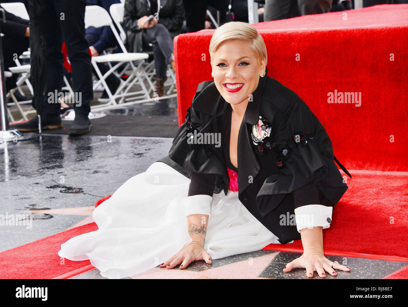 Los Angeles, USA. 5th February, 2019. PINK - ( Alecia Beth Moore ...