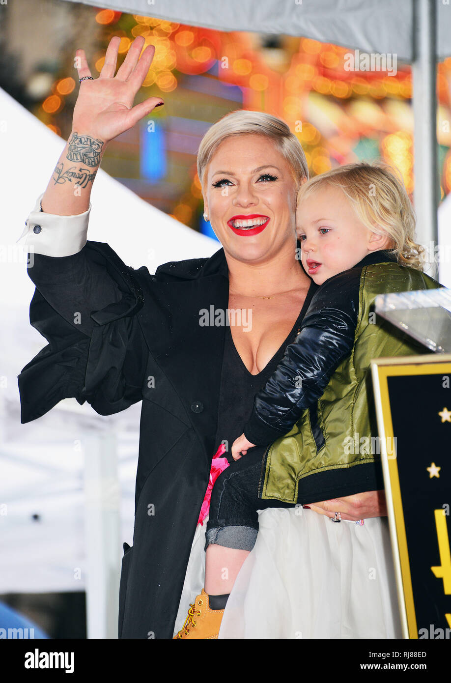 Los Angeles, USA. 5th February, 2019. PINK - ( Alecia Beth Moore ...