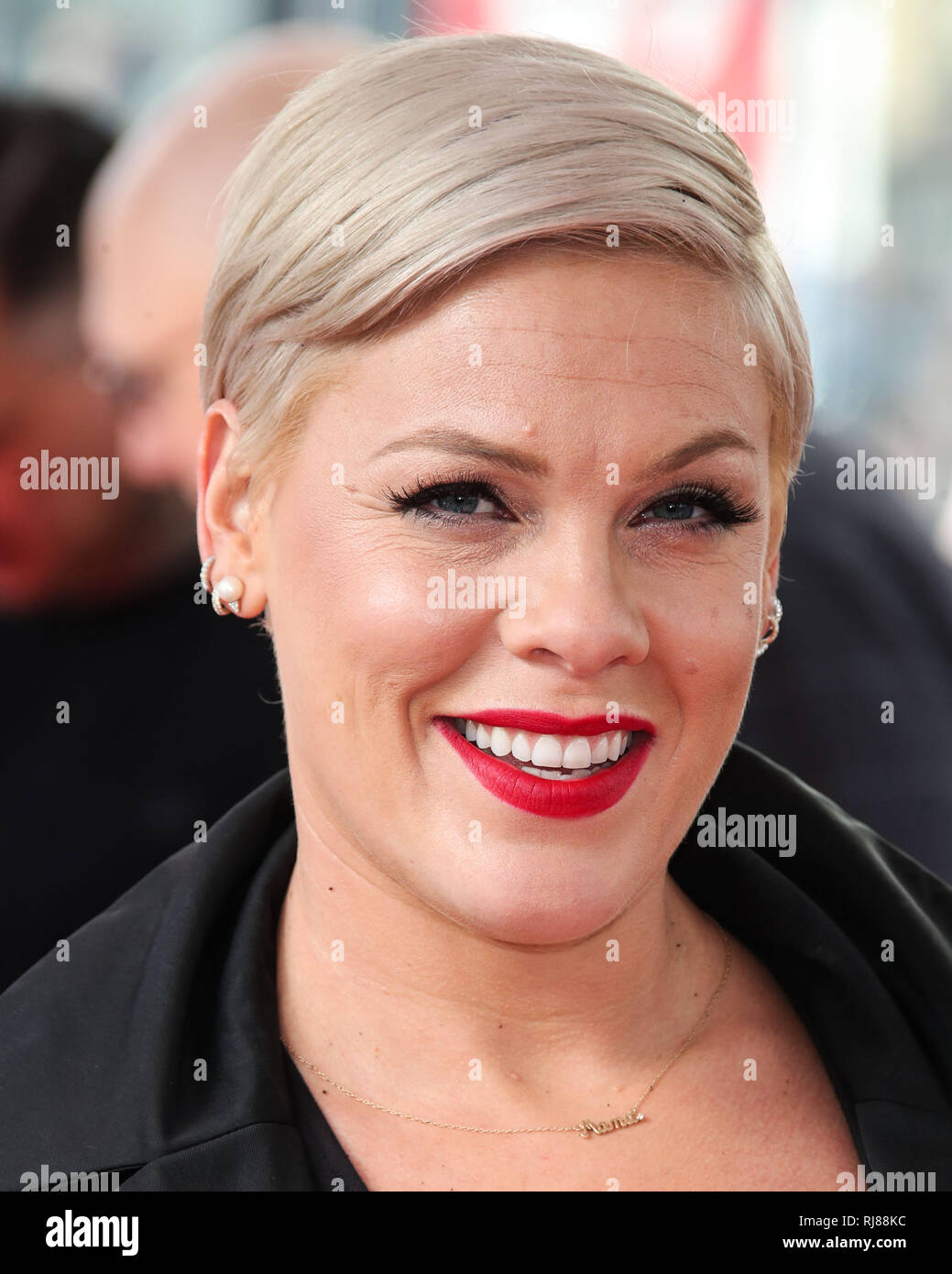 HOLLYWOOD, LOS ANGELES, CA, USA - FEBRUARY 05: Singer P!nk (Pink ...