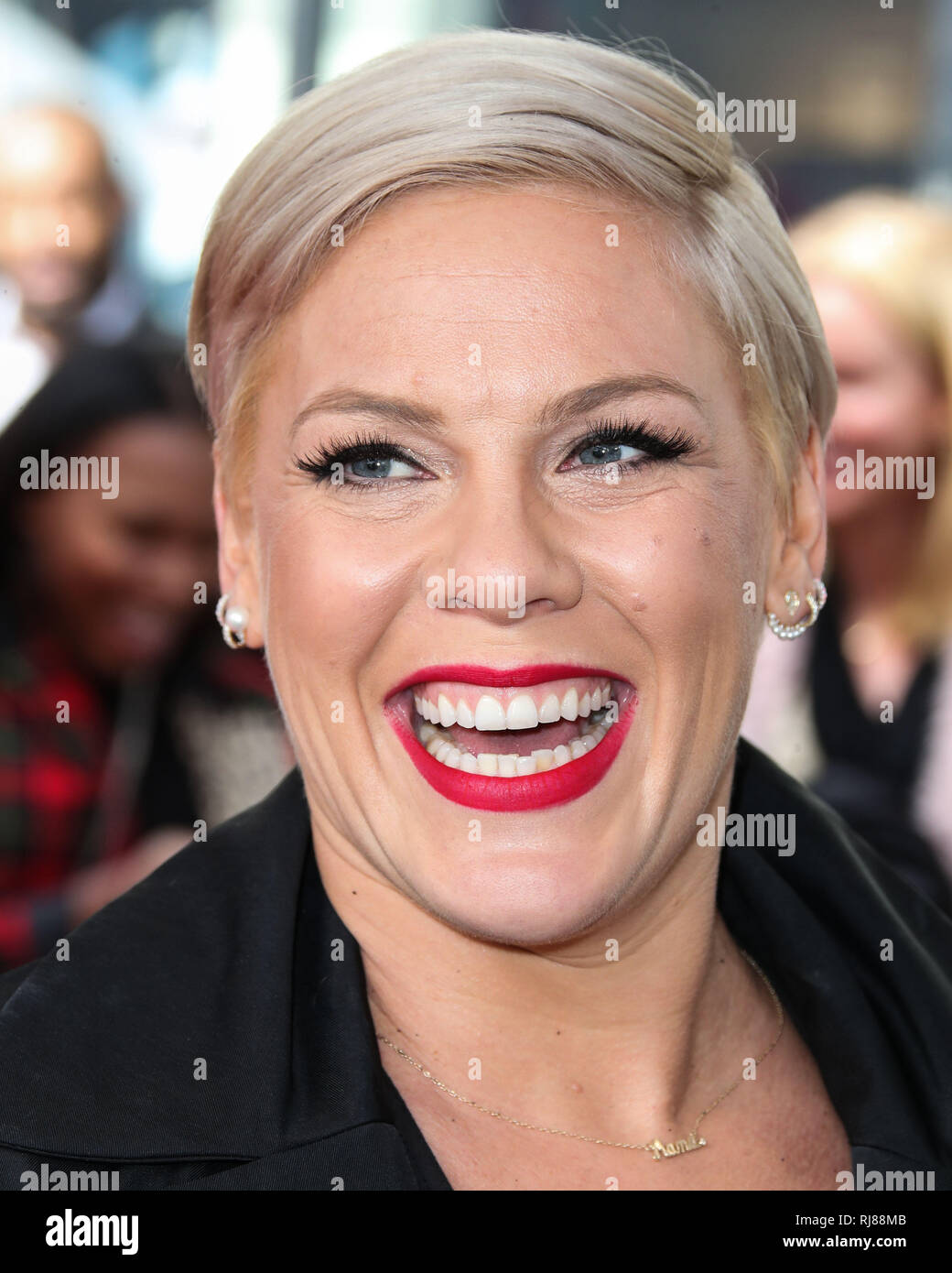 HOLLYWOOD, LOS ANGELES, CA, USA - FEBRUARY 05: Singer P!nk (Pink ...