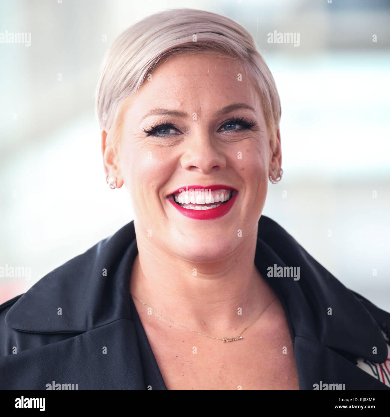 HOLLYWOOD, LOS ANGELES, CA, USA - FEBRUARY 05: Singer P!nk (Pink ...