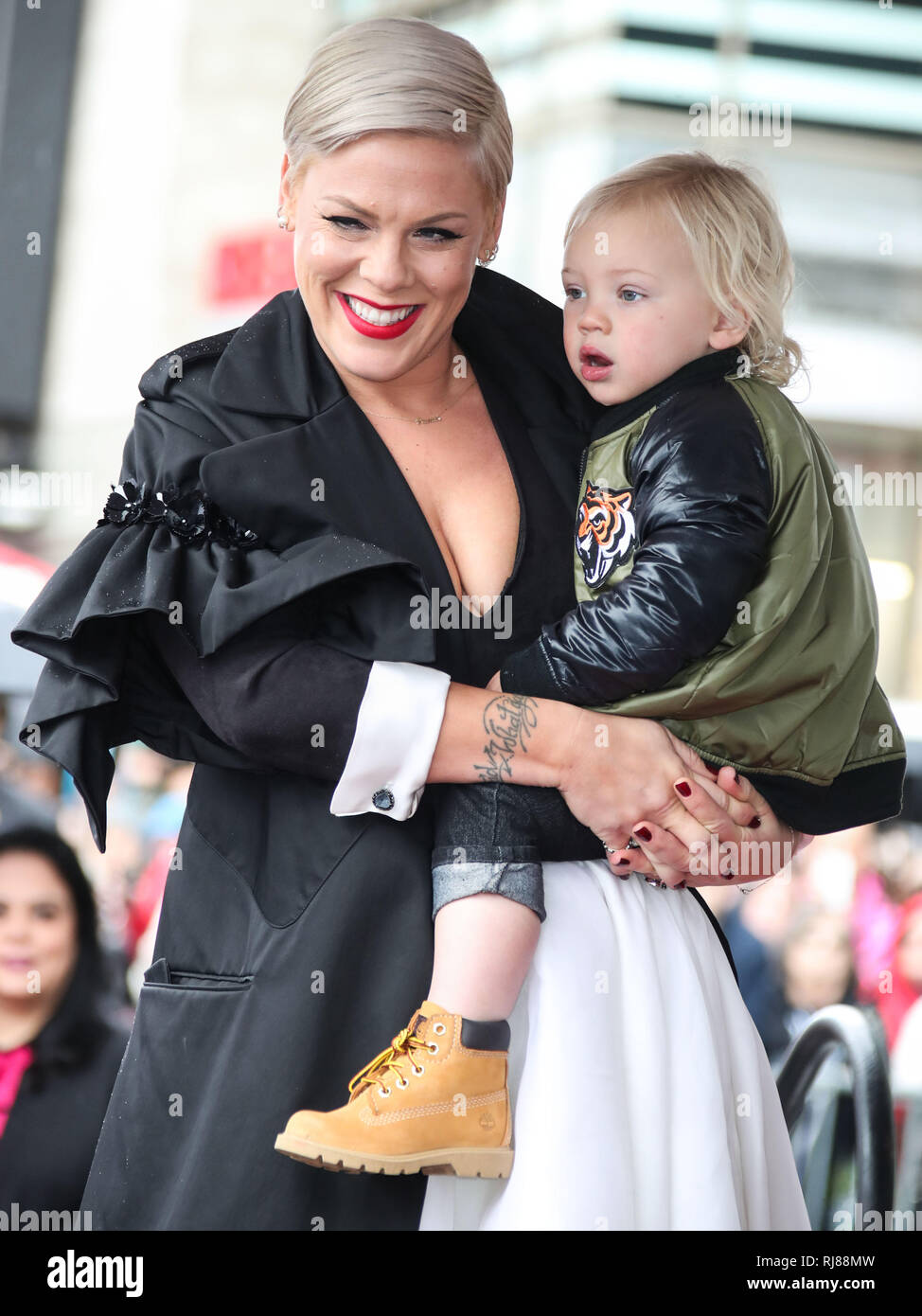 HOLLYWOOD, LOS ANGELES, CA, USA - FEBRUARY 05: Singer P!nk (Pink ...