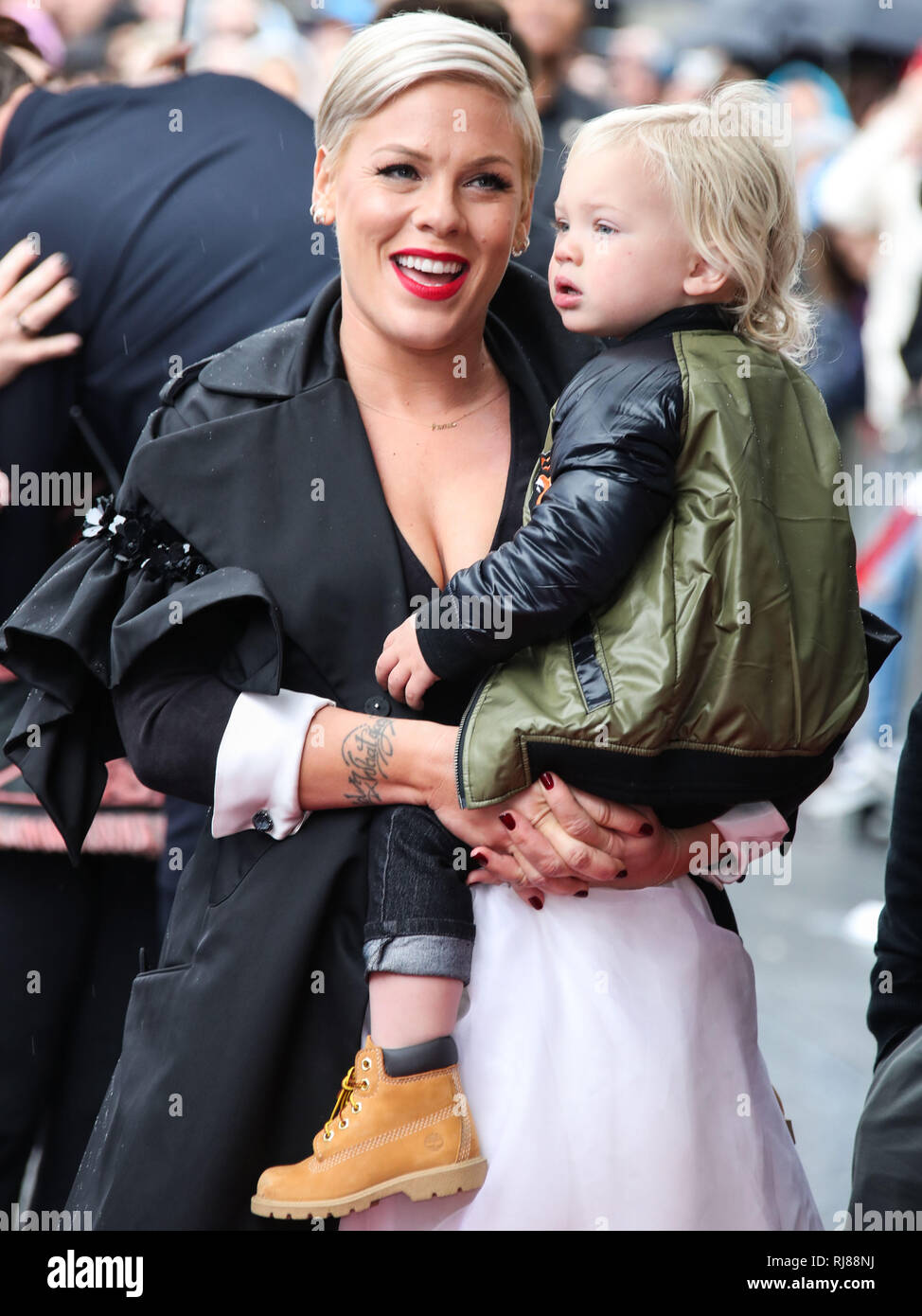 HOLLYWOOD, LOS ANGELES, CA, USA - FEBRUARY 05: Singer P!nk (Pink ...