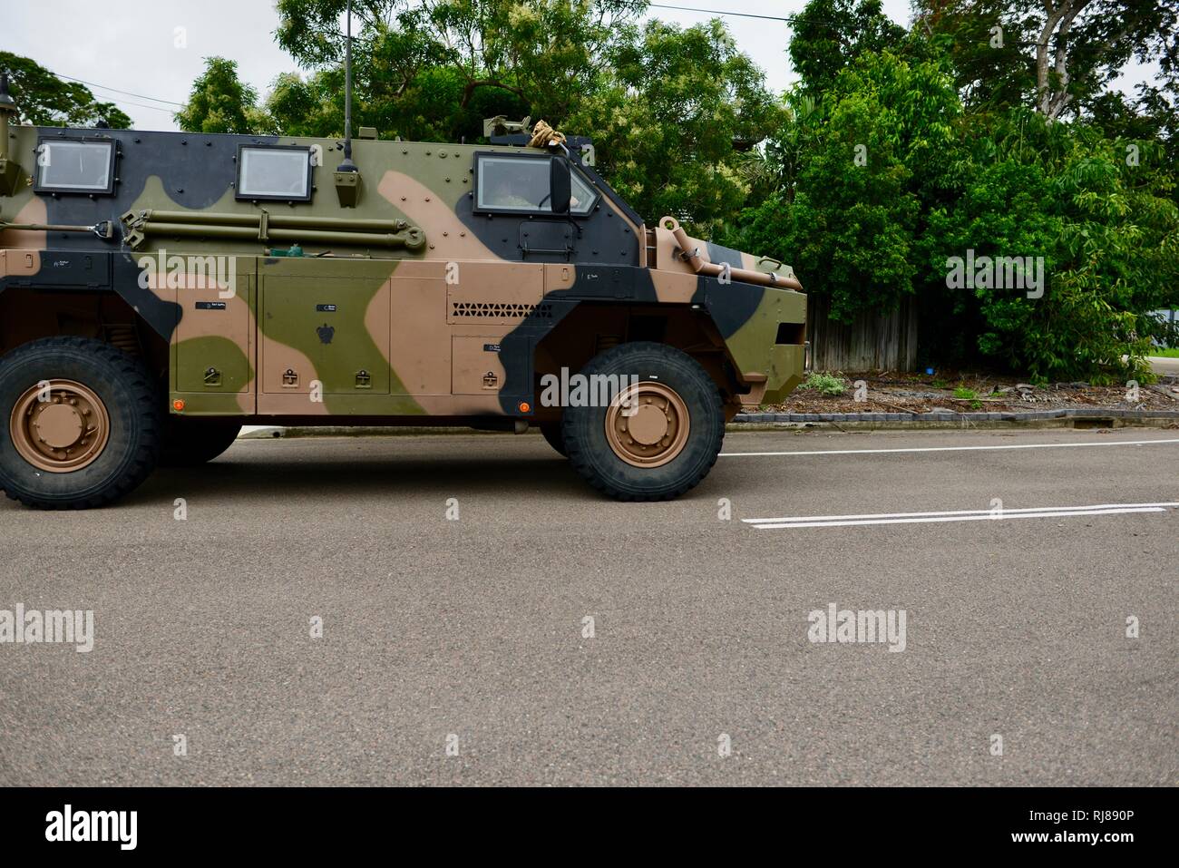 Bushmaster army hi-res stock photography and images - Alamy