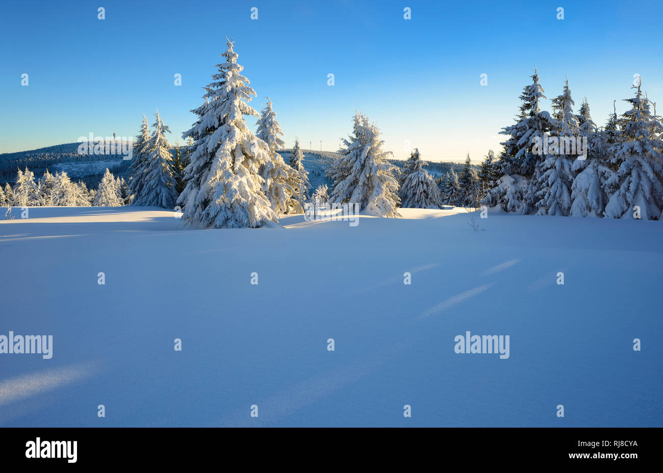 Mit schn hi-res stock photography and images - Alamy
