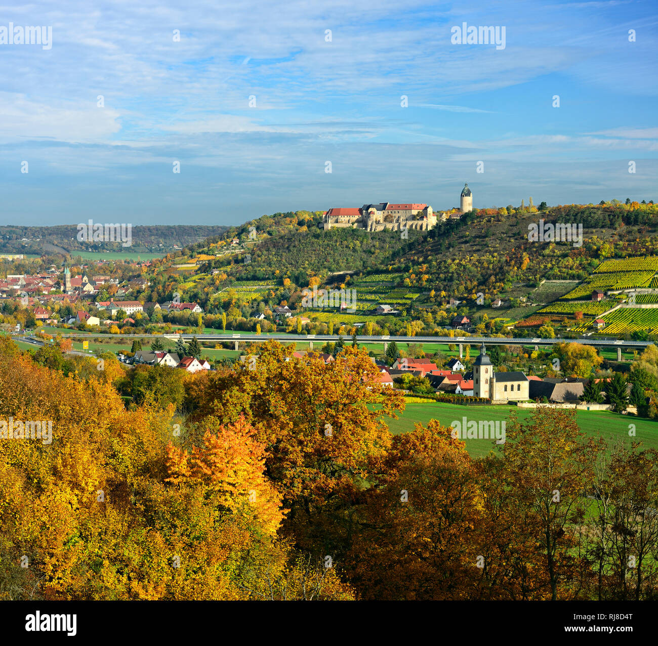 Deutschland, Sachsen-Anhalt, Burgenlandkreis, Freyburg, Aussicht auf ...