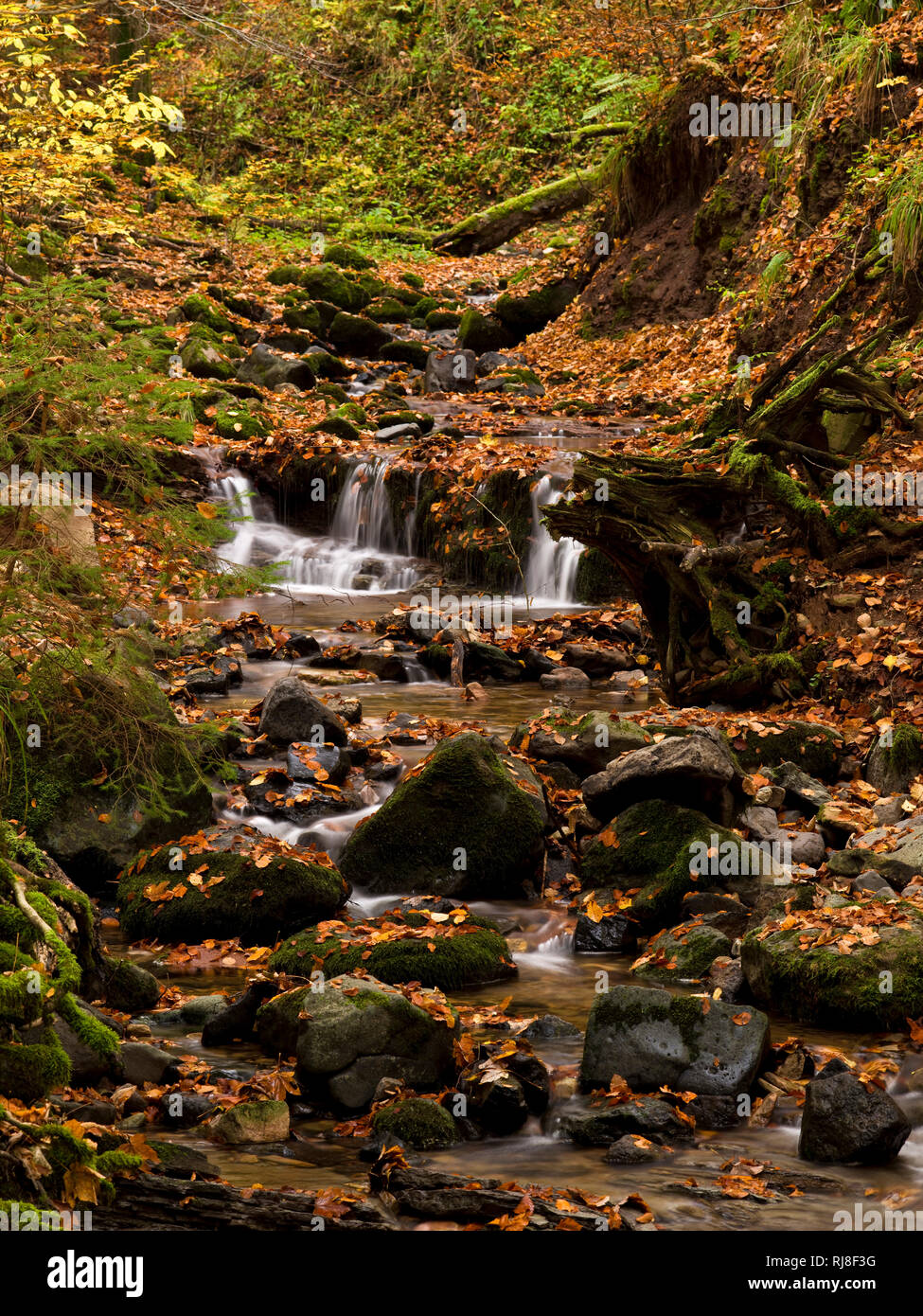 Deutschland, Hessen, Naturpark Hessische Rhön, UNESCO ...