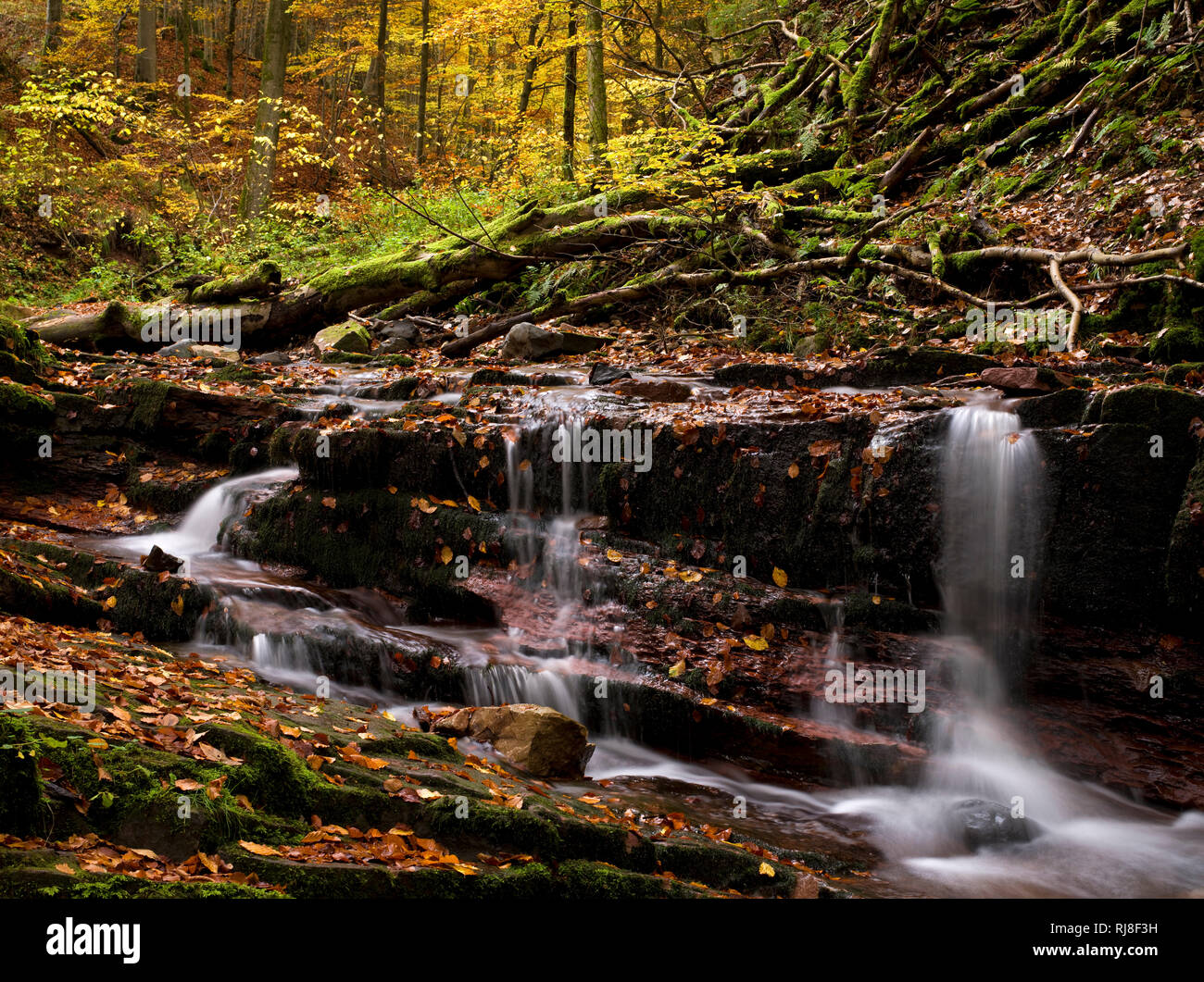 Deutschland, Hessen, Naturpark Hessische Rhön, UNESCO ...