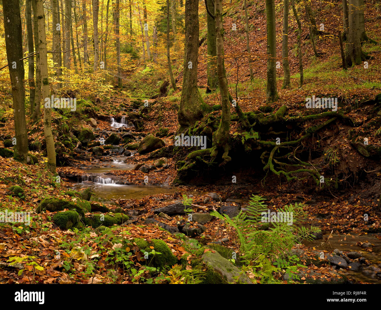 Deutschland, Hessen, Naturpark Hessische Rhön, UNESCO ...