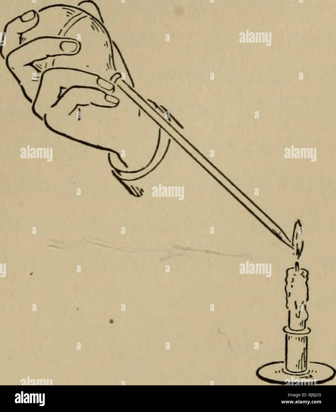 . The chemistry of plant and animal life. Agricultural chemistry. 52 ...