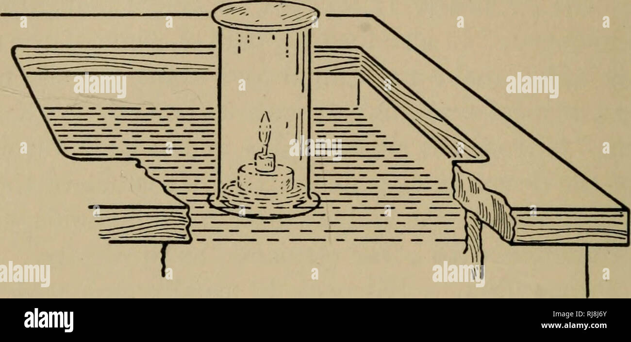 . The chemistry of plant and animal life. Agricultural chemistry. 42 ...