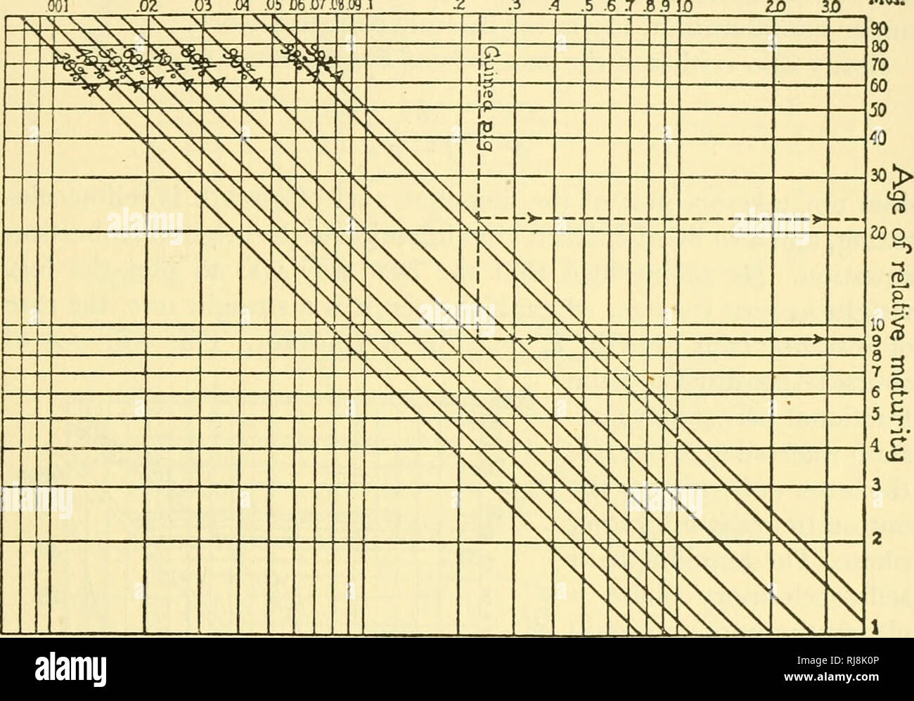 C8 chemical hi-res stock photography and images - Alamy
