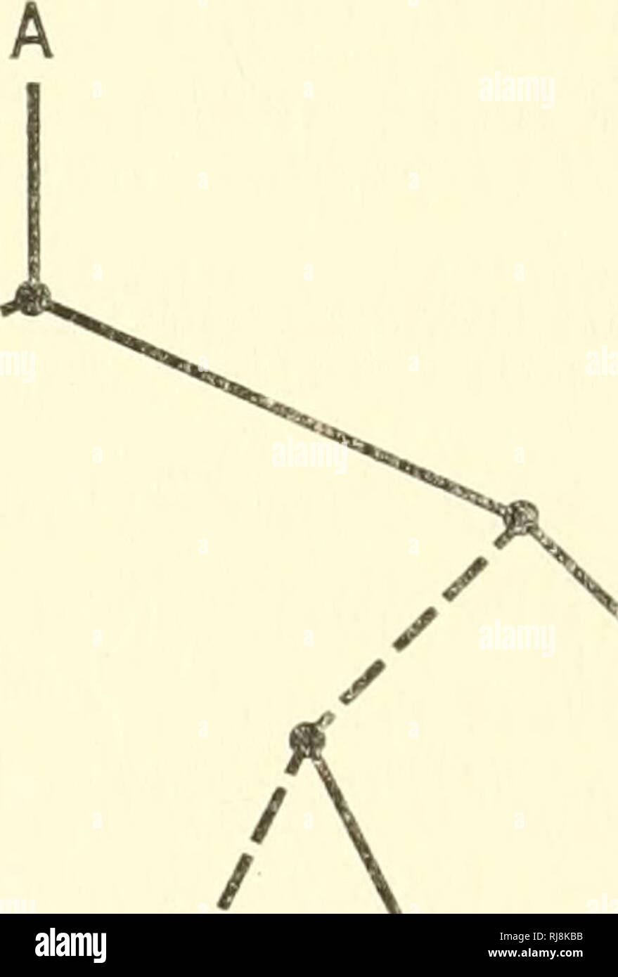 Walter staudinger hi-res stock photography and images - Alamy