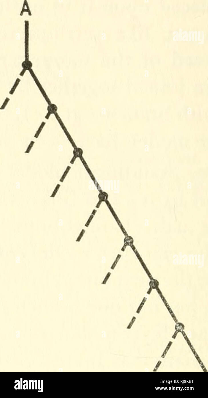 Walter staudinger hi-res stock photography and images - Alamy