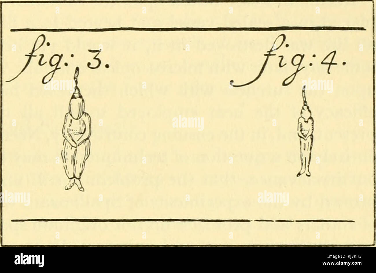 . Chemical embryology. Embryology. SECT. 3] AND EIGHTEENTH CENTURIES ...