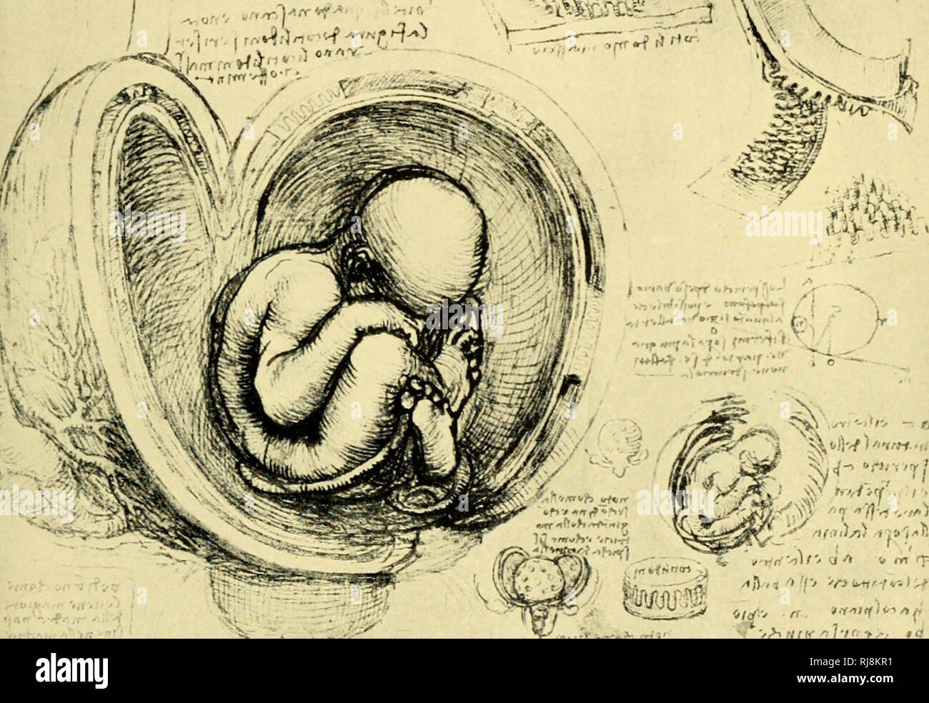 J t needham hi-res stock photography and images - Alamy