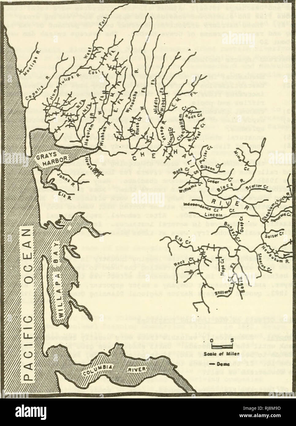 Chehalis river hi-res stock photography and images - Alamy