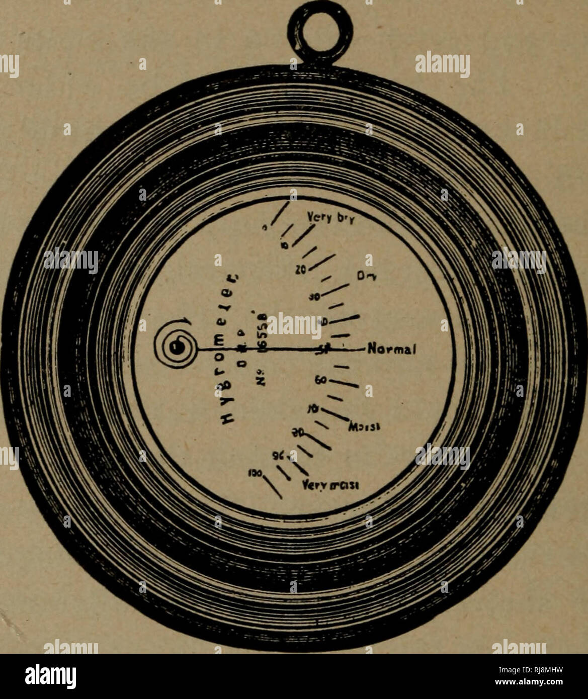 . Cheddar cheese making. Cheese. JO CHEDDAR CHEESE MAKING. cheddar ...