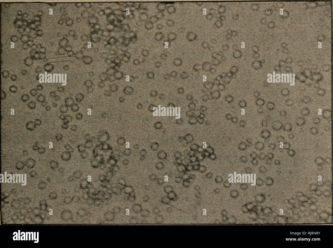 Colostrum components hi-res stock photography and images - Alamy