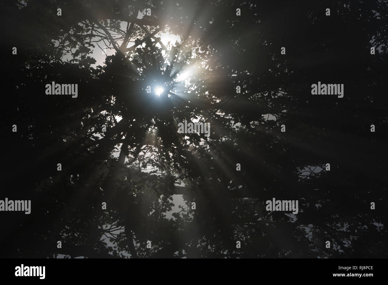 Scheinen hi-res stock photography and images - Alamy